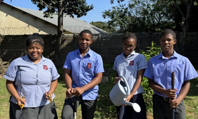 Kenmont School sows seeds for a sustainable future | Southlands Sun