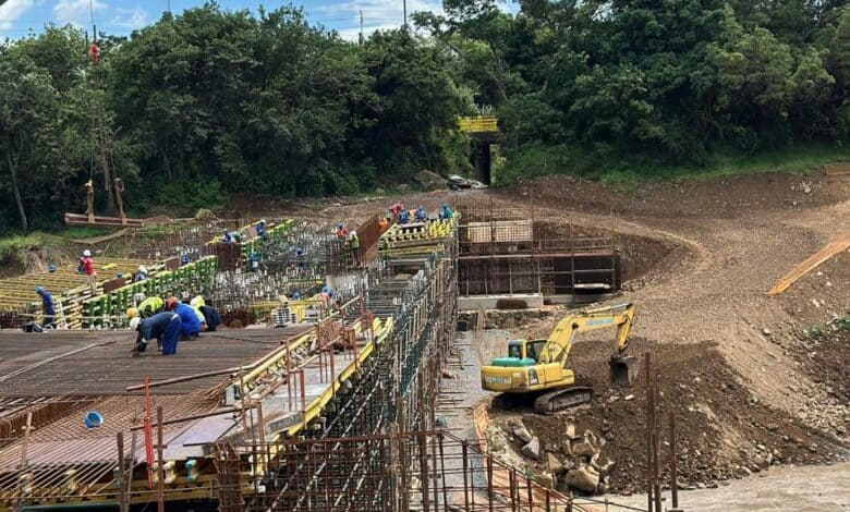 Construction of Coedmore Bridge remains on track | Southlands Sun