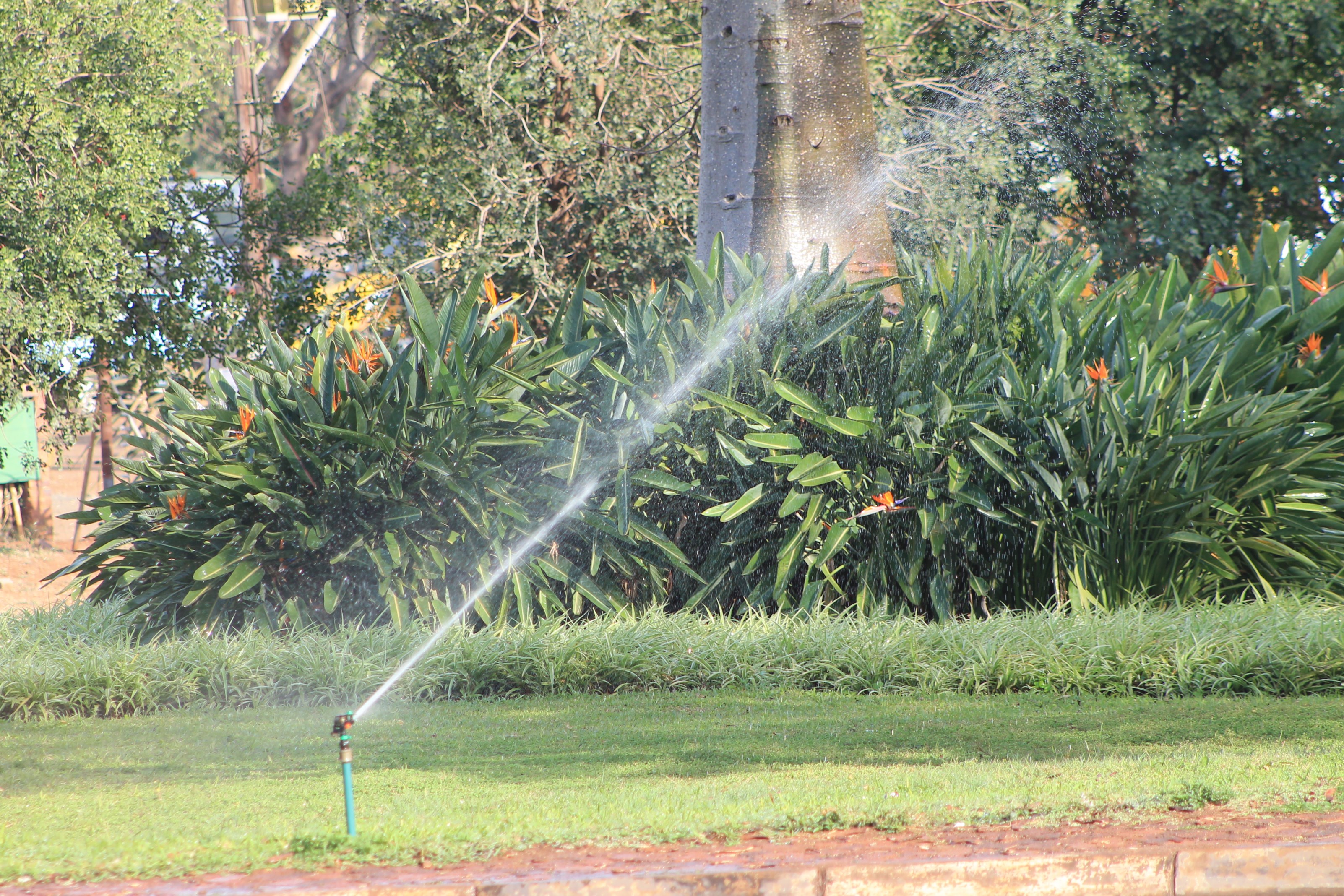 Fines await residents who do not adhere to water restrictions | Lowvelder