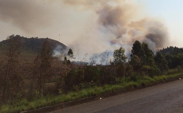 Warning: Fires on White River-Sabie road | Lowvelder