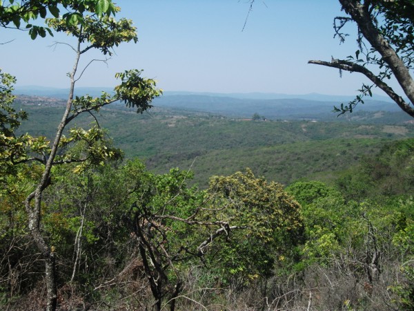 Bushbuckridge Nature Reserve | Lowvelder