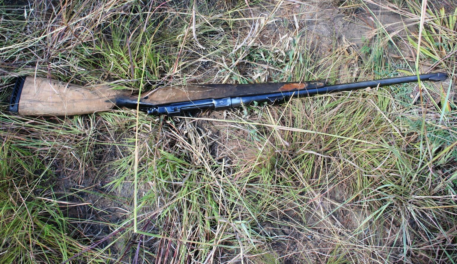 Meer as 30 SANParke vuurwapens in Krugerwildtuin gekonfiskeer | Lowvelder