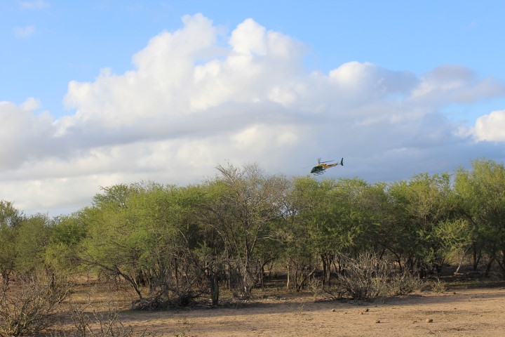 Suspected poachers fire on SANParks helicopter | Lowvelder