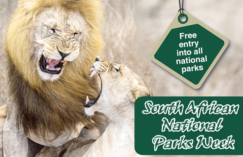 Explore SA's natural heritage for free during SANParks Week | Lowvelder