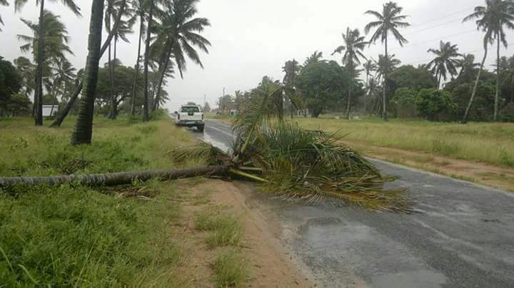 Stay safe during Tropical Storm Dineo | Lowvelder