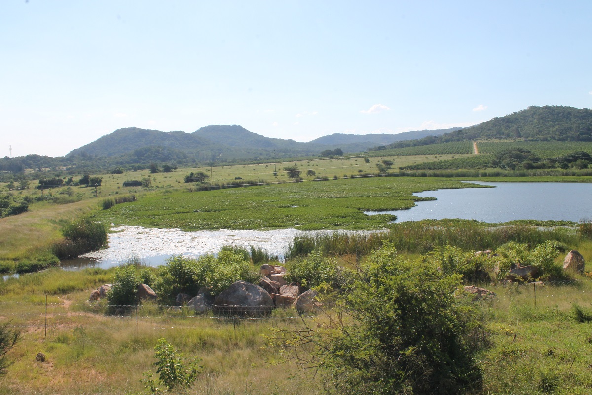 Residents flush raw sewage into dam | Lowvelder