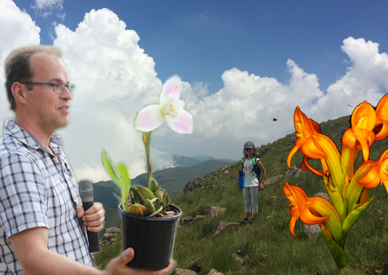 Orgideedokter deel sy wengeheime | Lowvelder