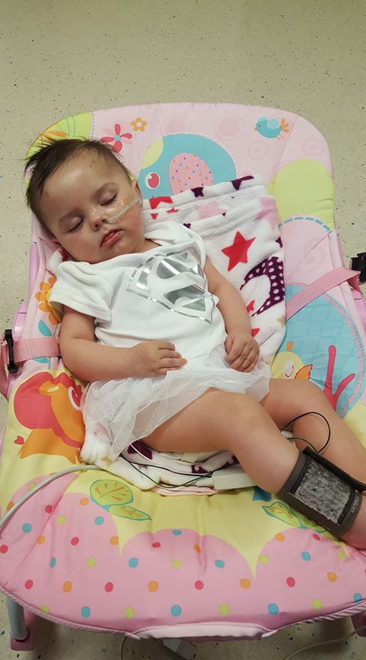 A new normal for Mienke's family | Lowvelder