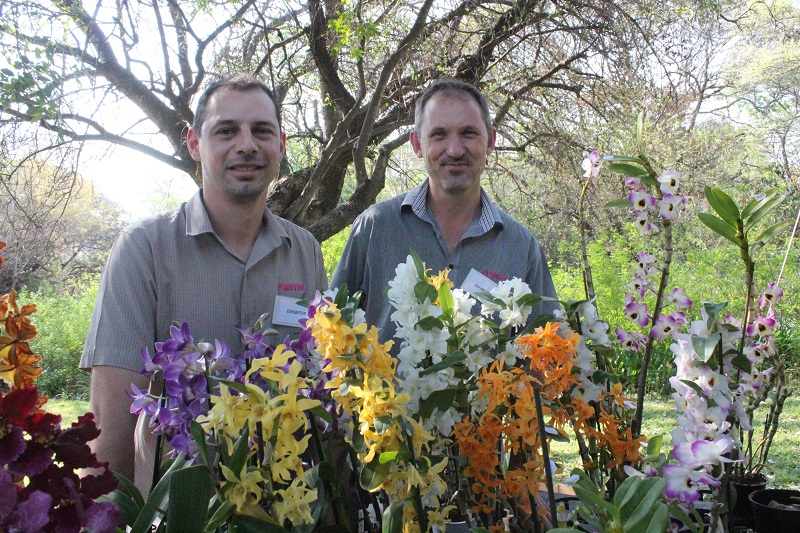 Lowveld's most-beautiful flower blooms for fest | Lowvelder