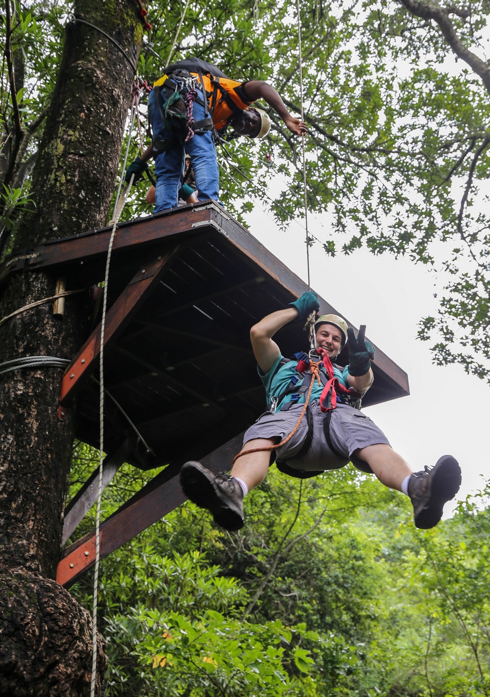 Soar like a bird across Hazyview forest with Skyway Trails, then monkey ...