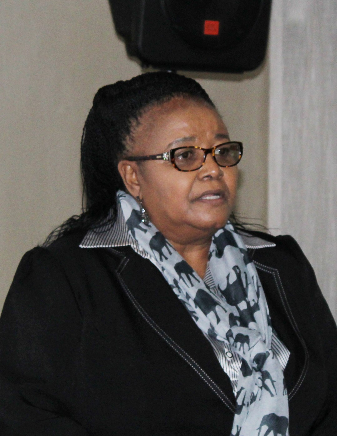 Minister calls for closer alliance | Lowvelder