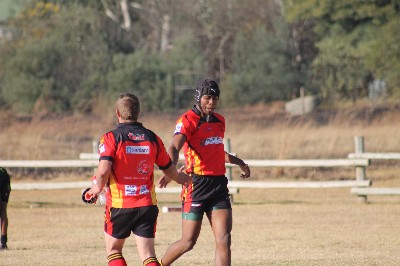 Rooikatte kraai koning | Lowvelder