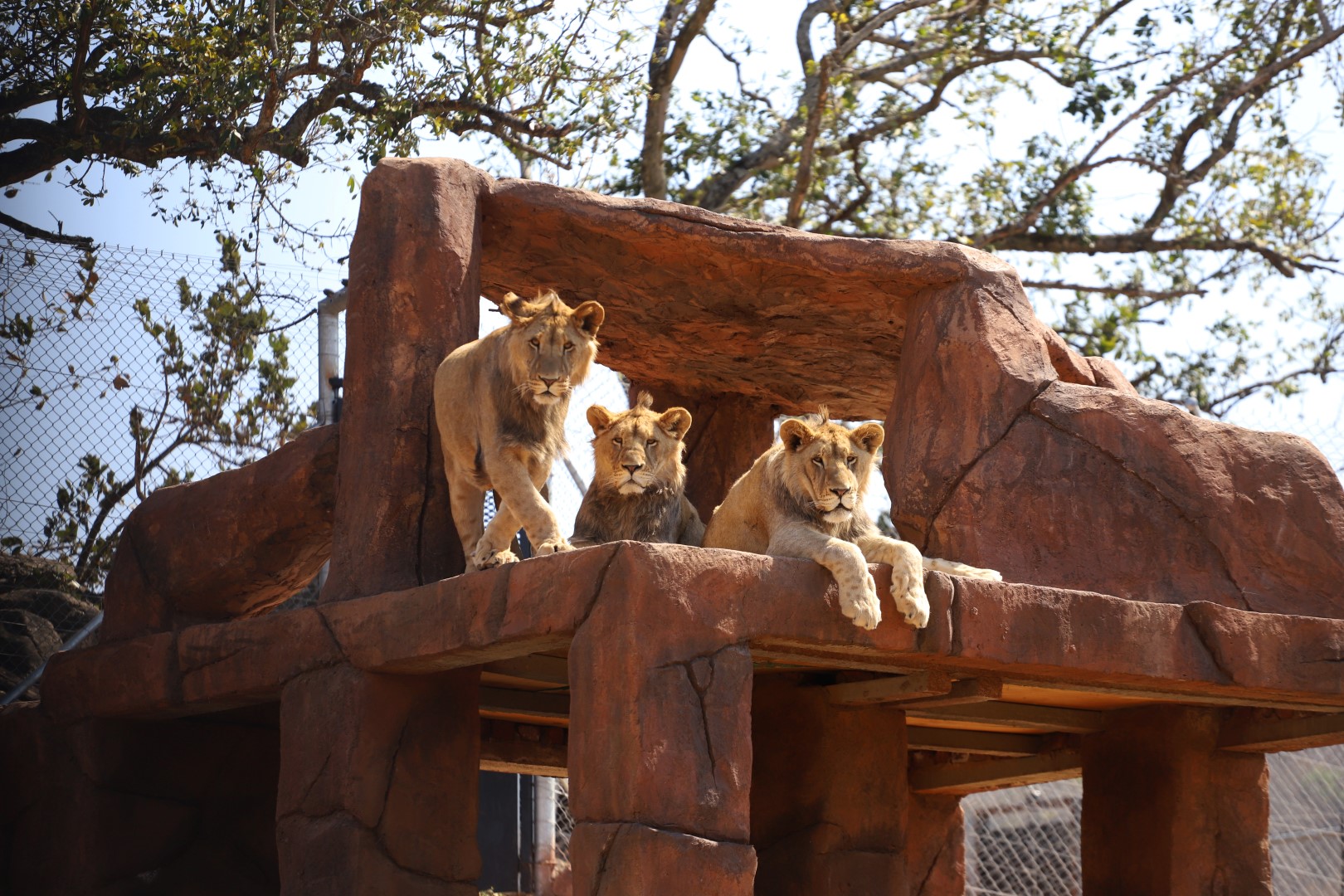 IN PHOTOS: A look inside Mpumalanga's zoo | Lowvelder