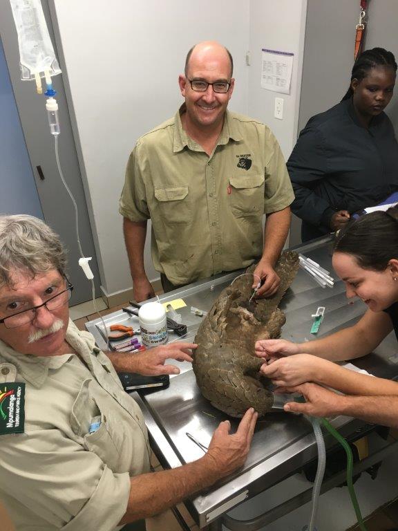 Dr. Ferreira du Plessis was soveel meer as net 'n veearts | Lowvelder