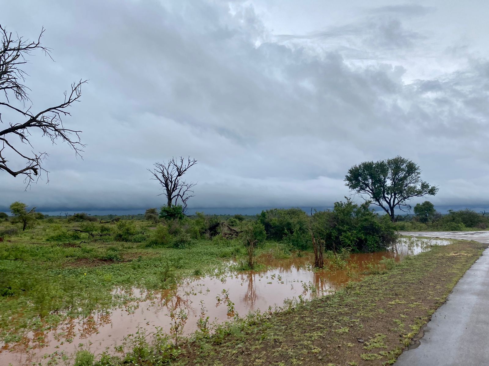 Cyclone Eloise hits Mpumalanga | Lowvelder