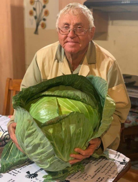 Reuse koolkop geoes | Lowvelder