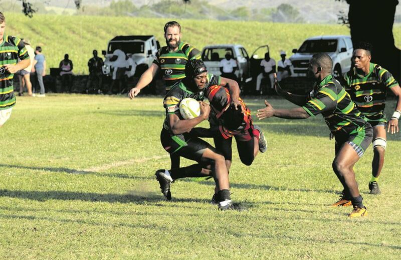 Malelane Rugby Club start season with a tough blow | Lowvelder
