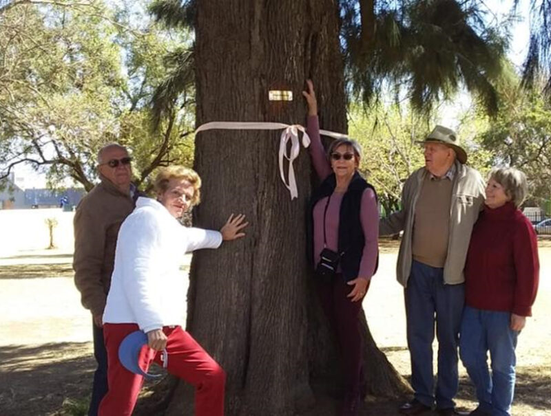 Bome erken vir hul geskiedkundige waarde in Lydenburg | Lowvelder