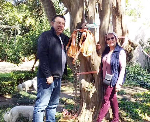 Bome erken vir hul geskiedkundige waarde in Lydenburg | Lowvelder