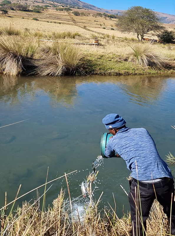 Verlorenkloof a paradise for fly fishing provincials | Lowvelder