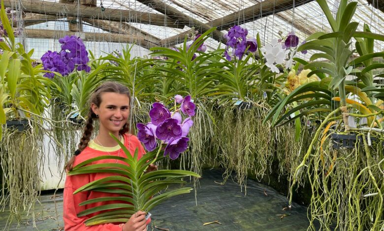 Afri Orchids will display a large range of plants during its garden ...