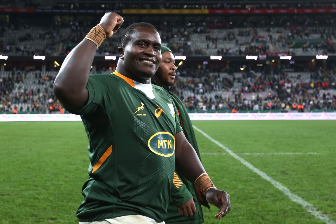 Five players with Lowveld roots selected for Springbok Rugby World Cup ...