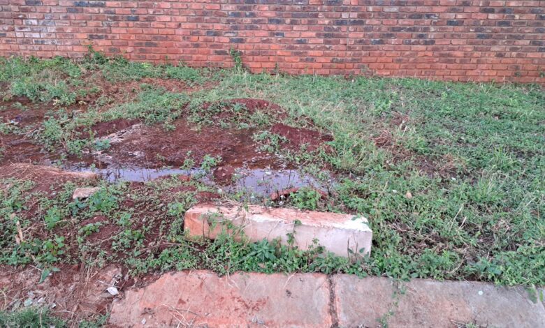 Ohrigstad residents struggle to access water | Lowvelder