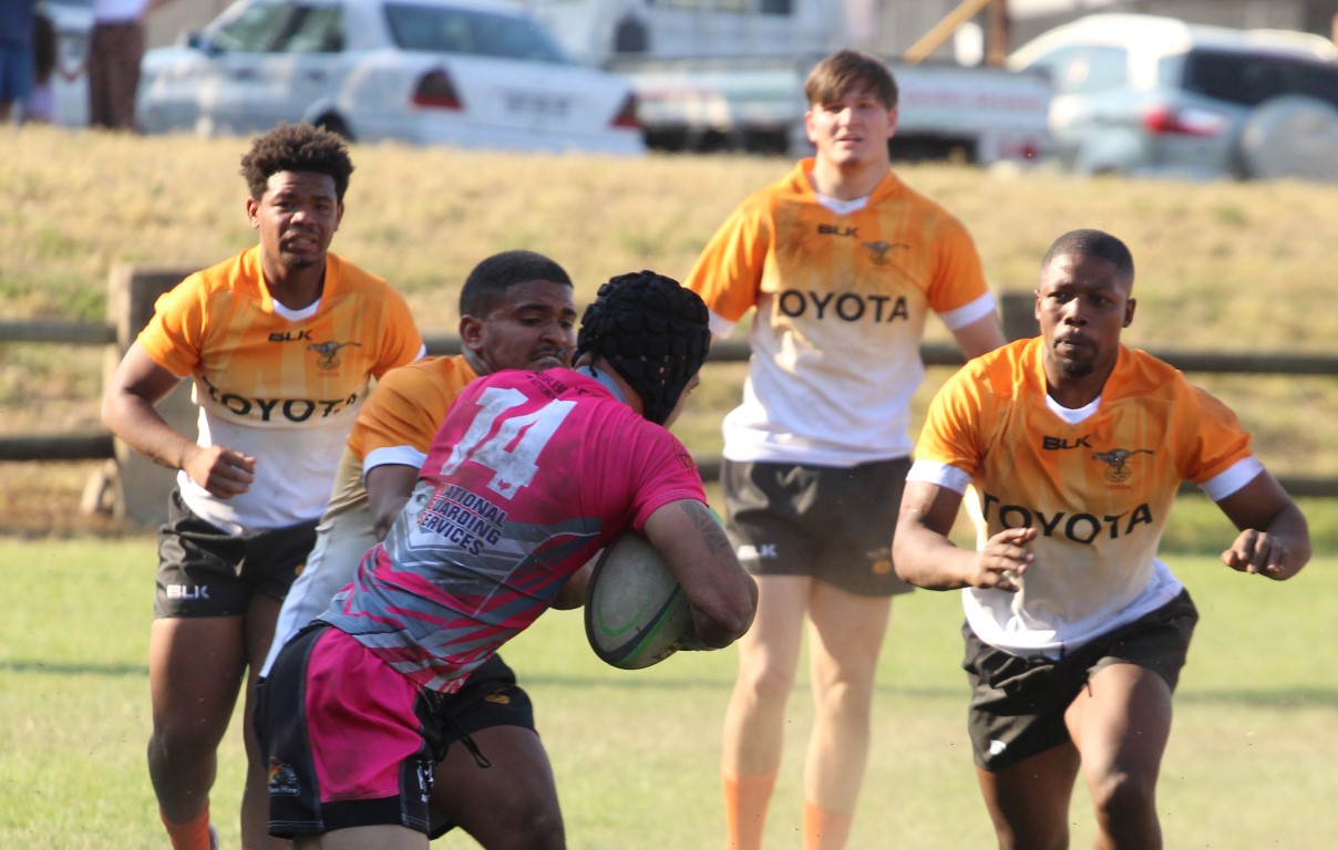 Pumas Amateurs thrash Cheetahs Amateurs at Nelspruit Rugby Club | Lowvelder