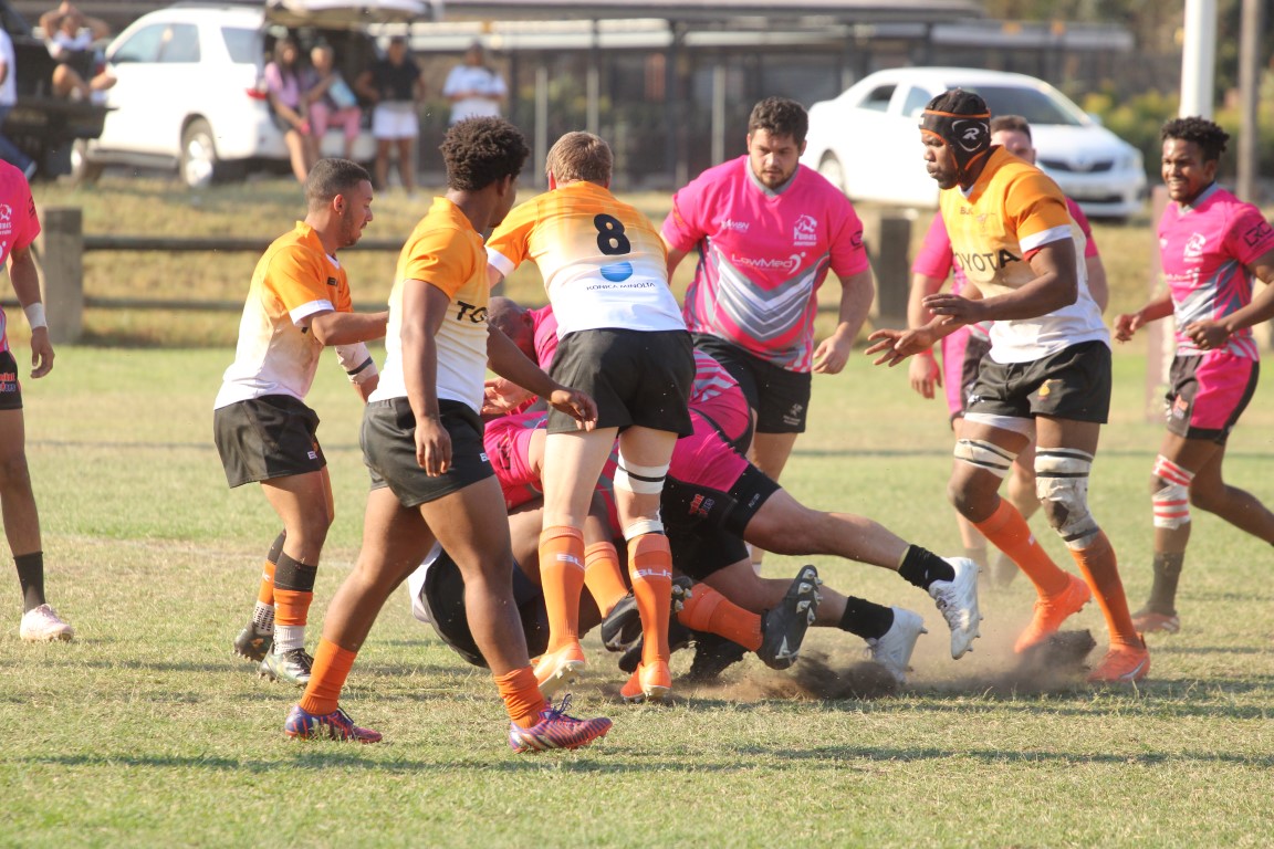 Pumas Amateurs thrash Cheetahs Amateurs at Nelspruit Rugby Club | Lowvelder