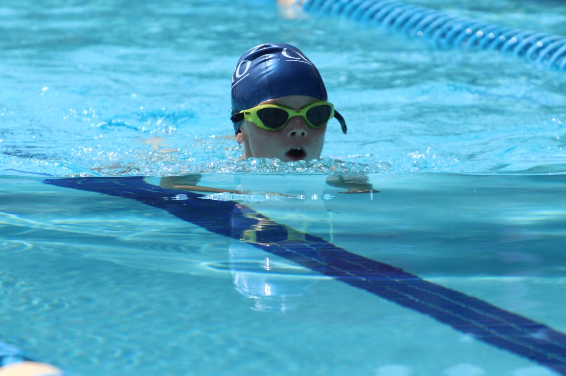 Mpumalanga's best primary school swimmers do battle in Mbombela | Lowvelder