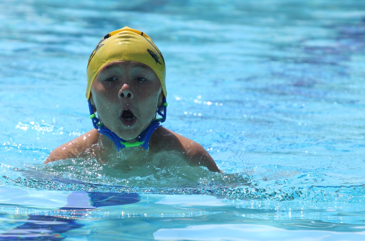 Mpumalanga's best primary school swimmers do battle in Mbombela | Lowvelder