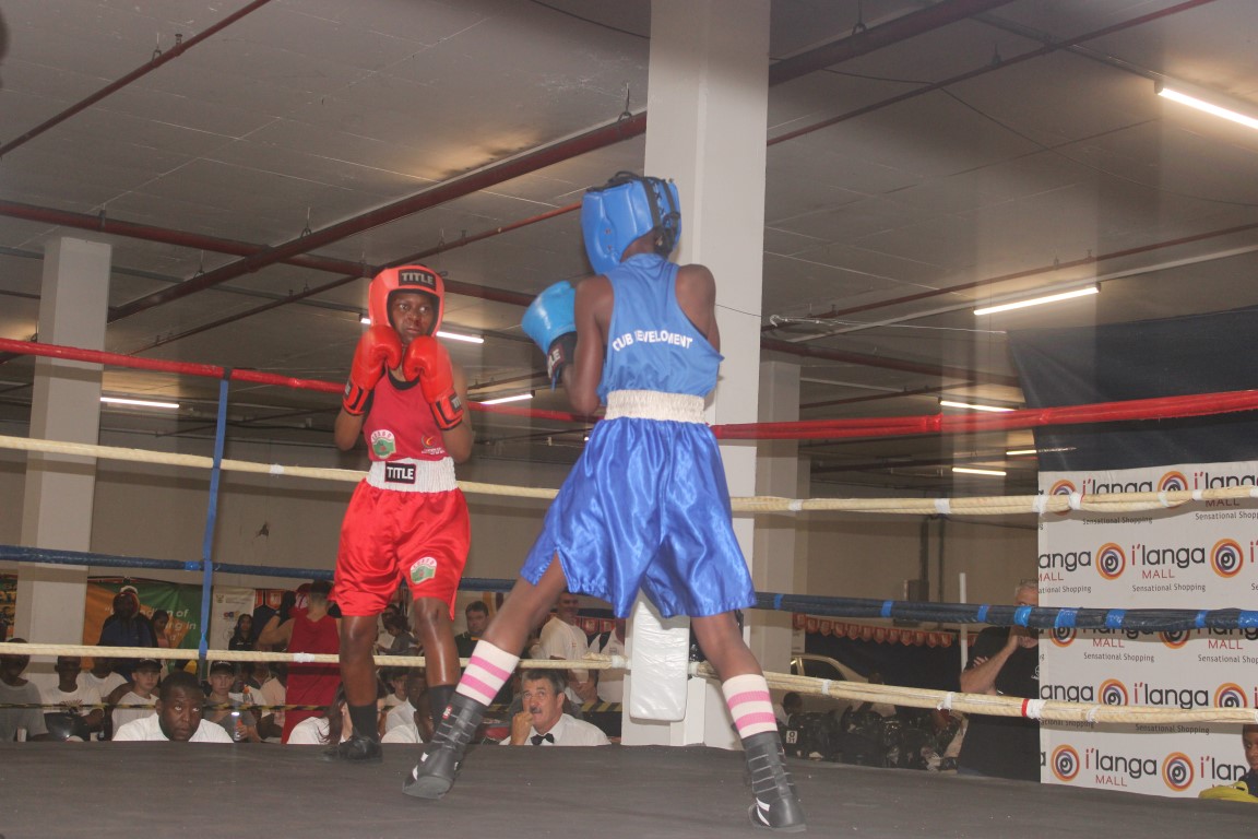 PHOTOS: Successful boxing championships hosted in Mbombela | Lowvelder