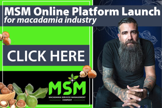 AmberMacs Macadamia Expo 2024 | Lowvelder