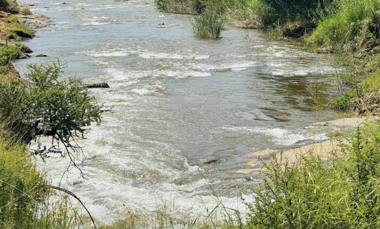 Young boy still missing after allegedly drowning in a river outside ...