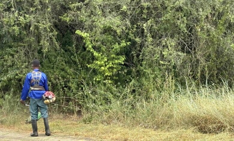 We Care 4 Nelspruit cleans Dr Enos Mabuza Drive in Mbombela | Lowvelder