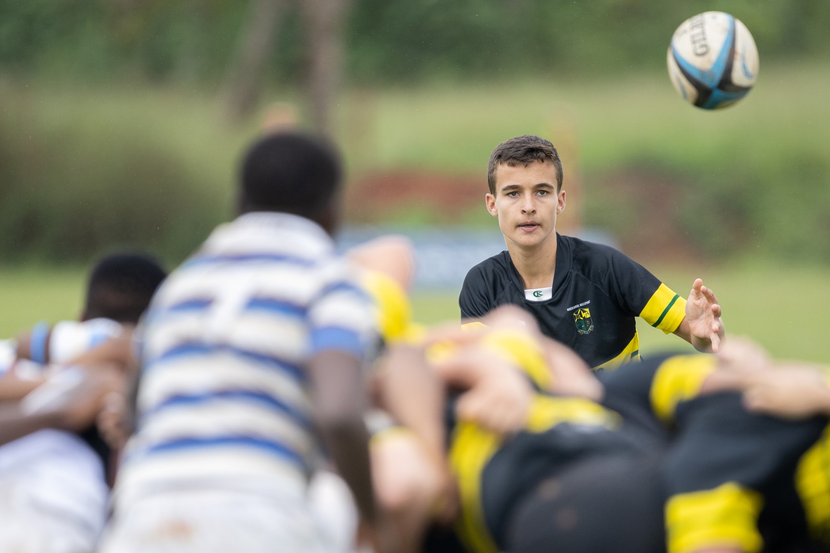 Stunning schoolboy rugby at Danie Rossouw Week | Lowvelder