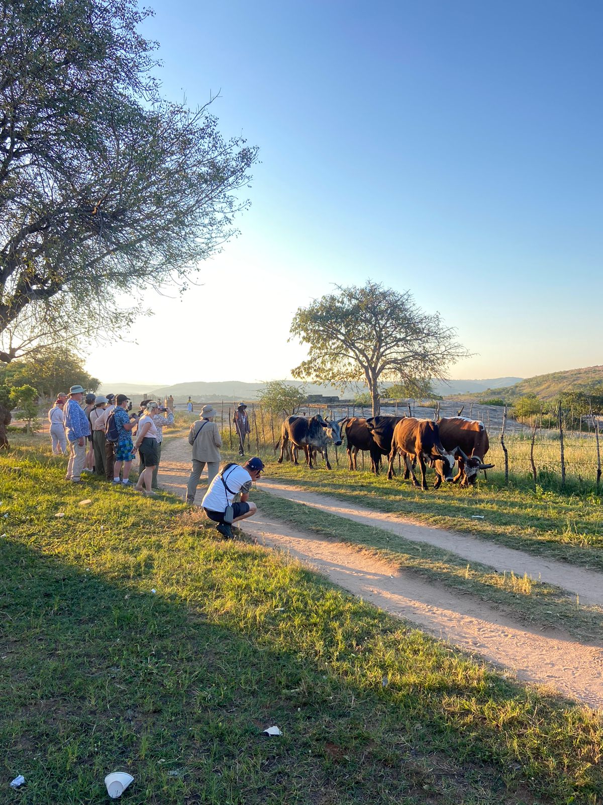 Hazyview Township Tourism makes great strides | Lowvelder