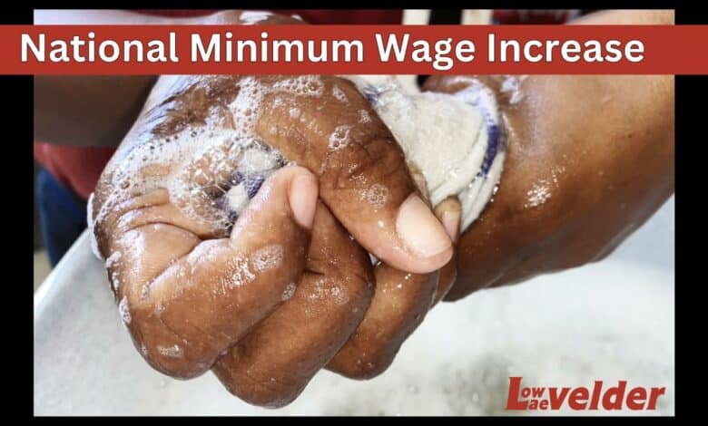 Employment and labour minister announces minimum wage adjustment to R28.79 per hour | Lowvelder