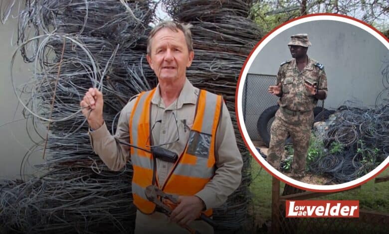 Snaring of Kruger animals gains momentum | Lowvelder