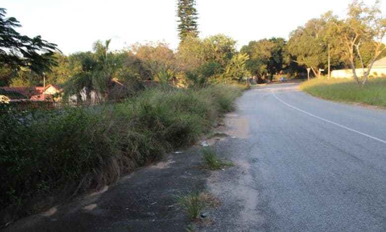 Unkempt pavements and parks leave Mbombela residents gatvol | Lowvelder