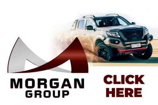 Wildevy 2025 | Lowvelder