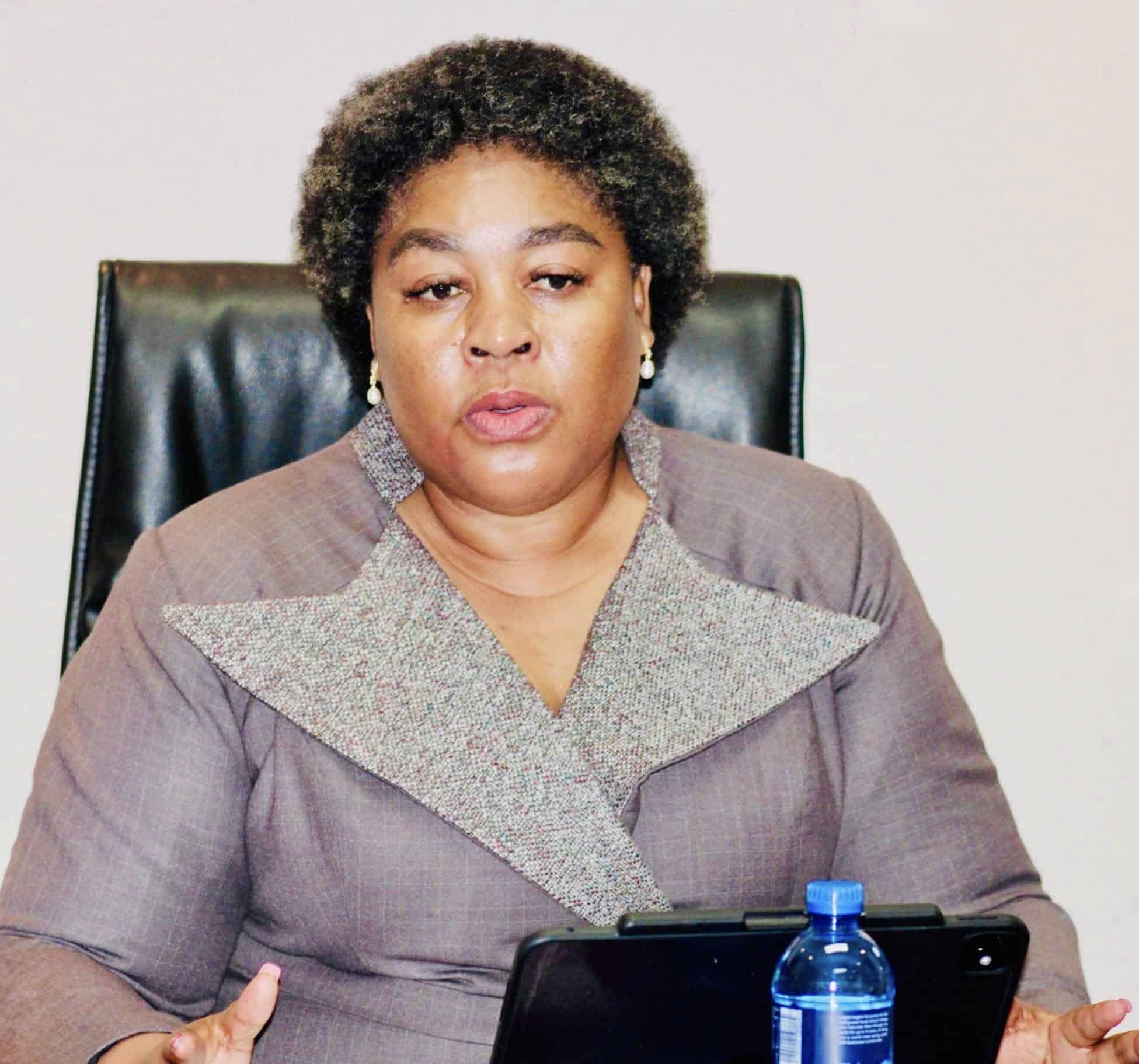 MEC and Mpumalanga tourism leaders discuss Panorama Route ...