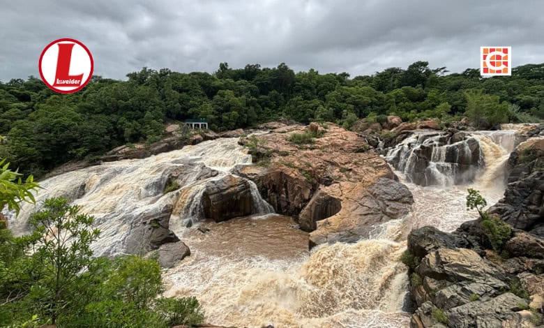 WATCH | National Botanical Garden’s waterfalls steal the show in ...