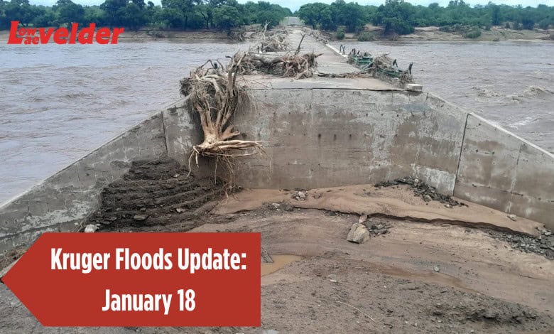 Kruger Floods Update: Day visitation to resume from tomorrow | Lowvelder