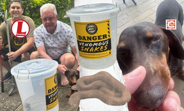 KYK: Spoegkobra in Hazyview: Leon van Nierop se hond red Nuwejaarsdag ...