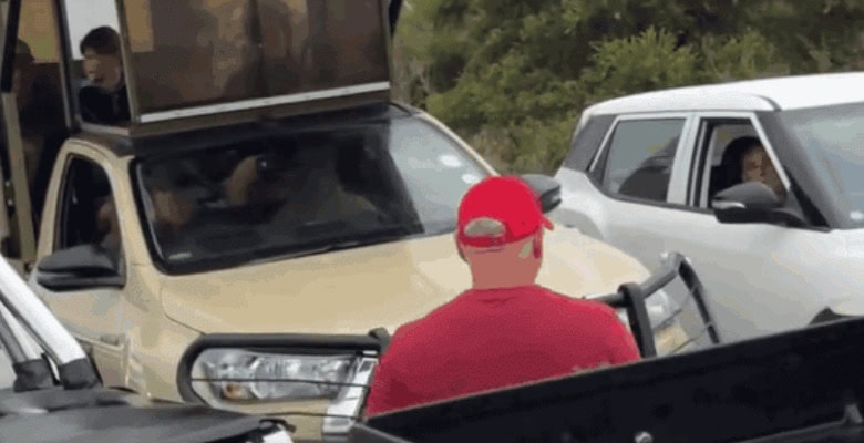 Tourist fined in Kruger National Park for exiting car near lions ...