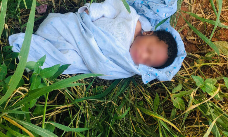 Mother of abandoned newborn in Bushbuckridge comes forward and is arrested | Mpumalanga News