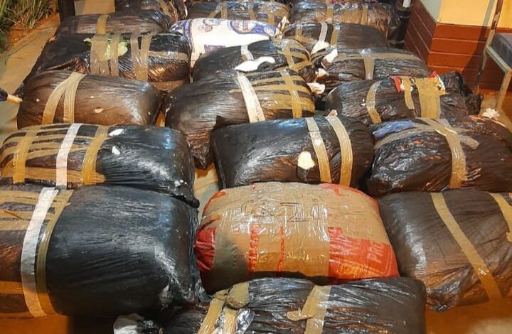 SAPS confiscates R1.9m's dagga at border outside Mkhondo | Mpumalanga News