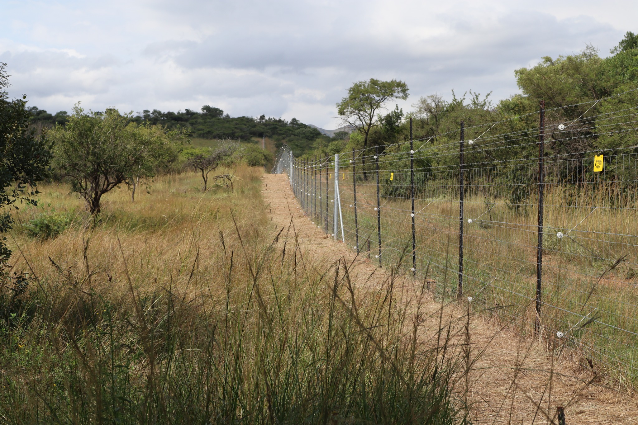 Mpumalanga premier oversees Songimvelo Nature Reserve’s fencing project ...