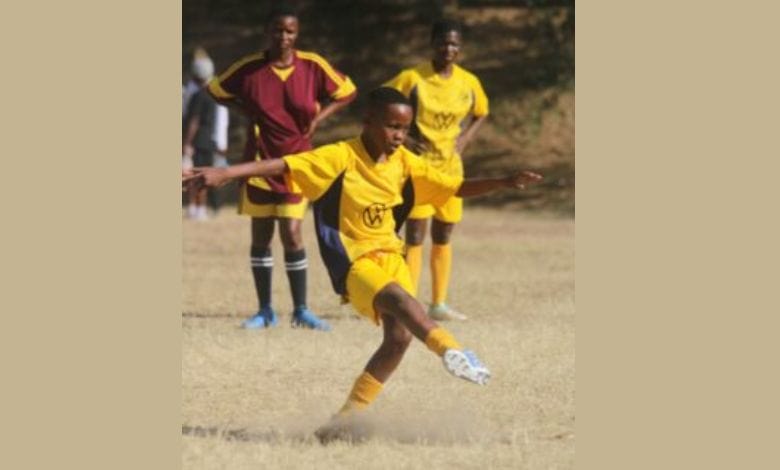 Young Mpumalanga stars head to national school winter games ...
